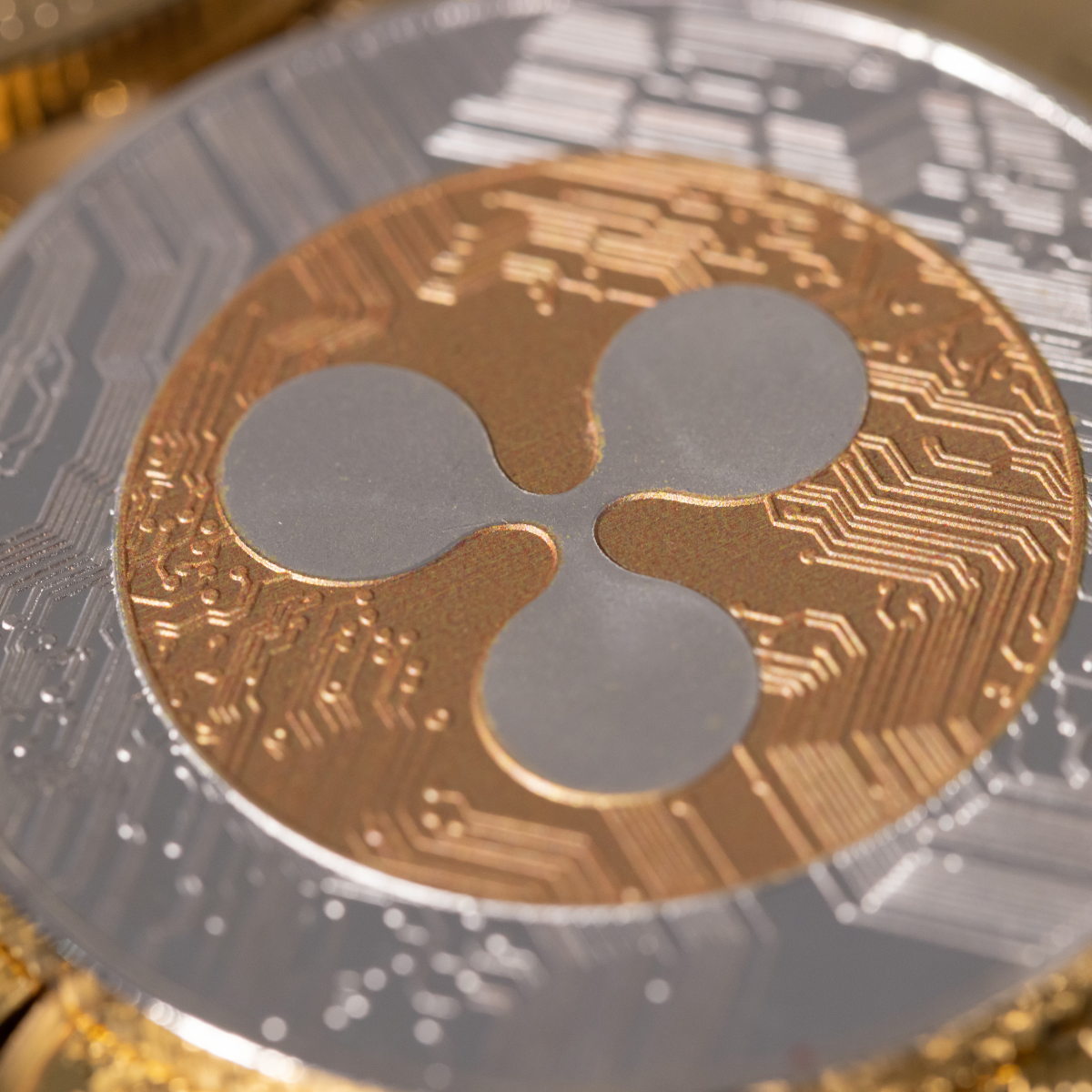 Home - Crypto Debit Terminal